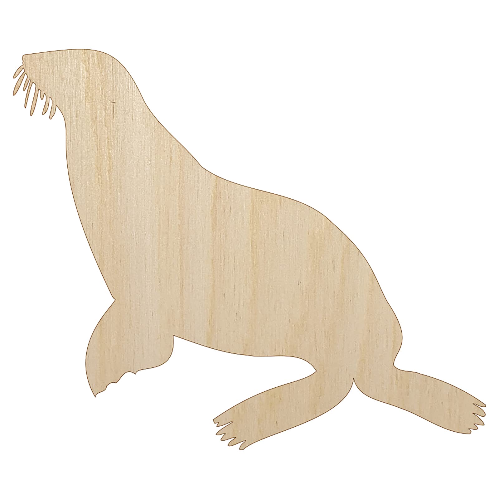 Sea Lion Craft