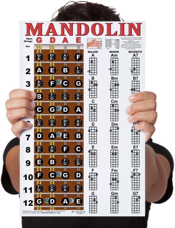 Amazon.com: Laminated Mandolin Fretboard Notes & Easy Beginner Chord ...