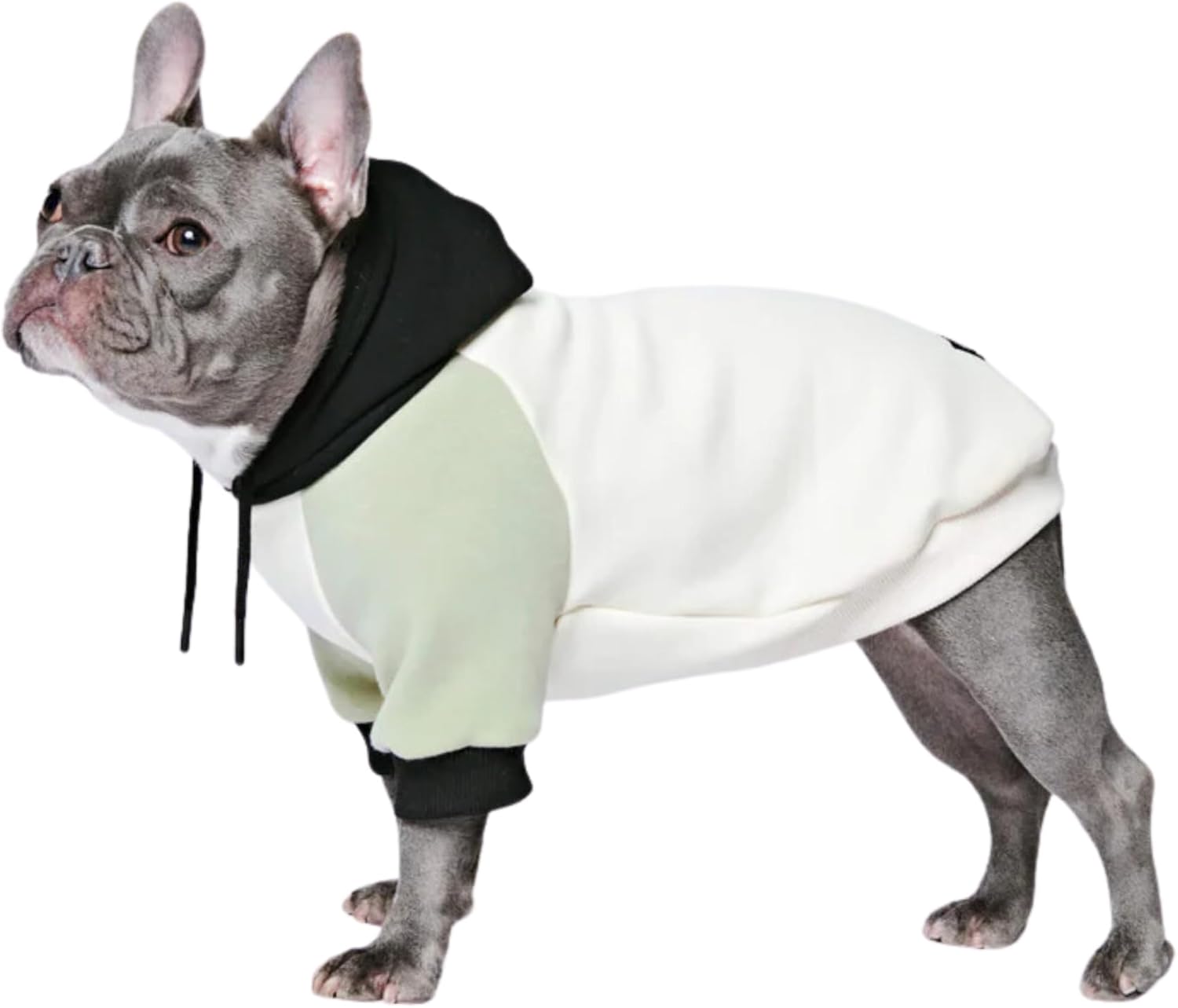 Amazon.com : Spark Paws Dog Hoodie - Premium Quality, Buttery Soft ...
