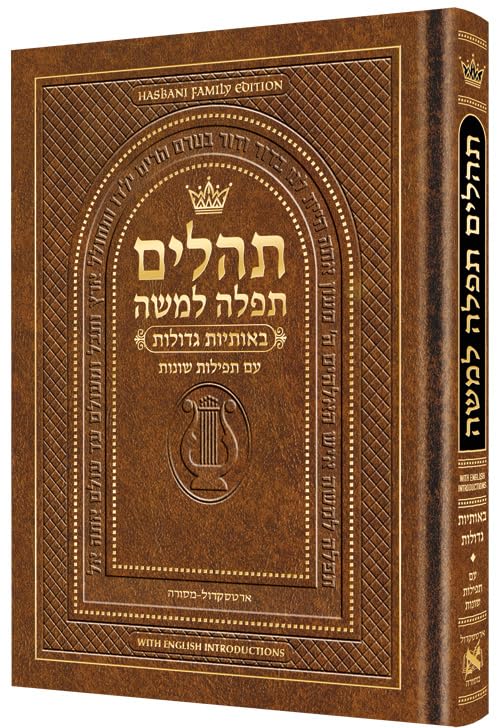 Amazon.com: Hebrew Only, Large Type Tehillim with English Introductions ...