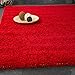 VIMODA Prime Tapis Shaggy Couleur Shaggy Poils Tapis Moderne pour Salon Chambre, Dimensions: 150 ...