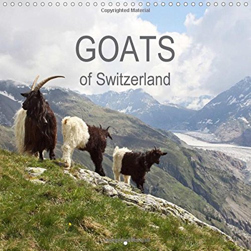 Goats of Switzerland 2017: This Calendar Shows the Colorful Diversity ...