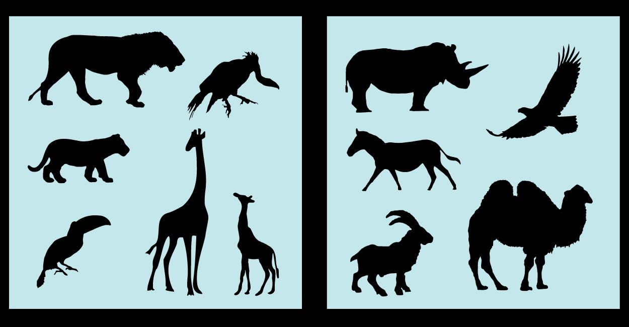 Amazon.com : Auto Vynamics - STENCIL-ANIMALS-AFRICASET01-10 - Detailed ...