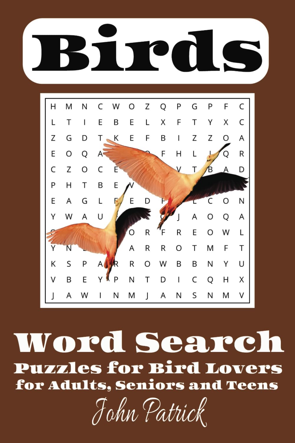 Birds Word Search Puzzle Book: Word Searches with Easy To Read Print ...