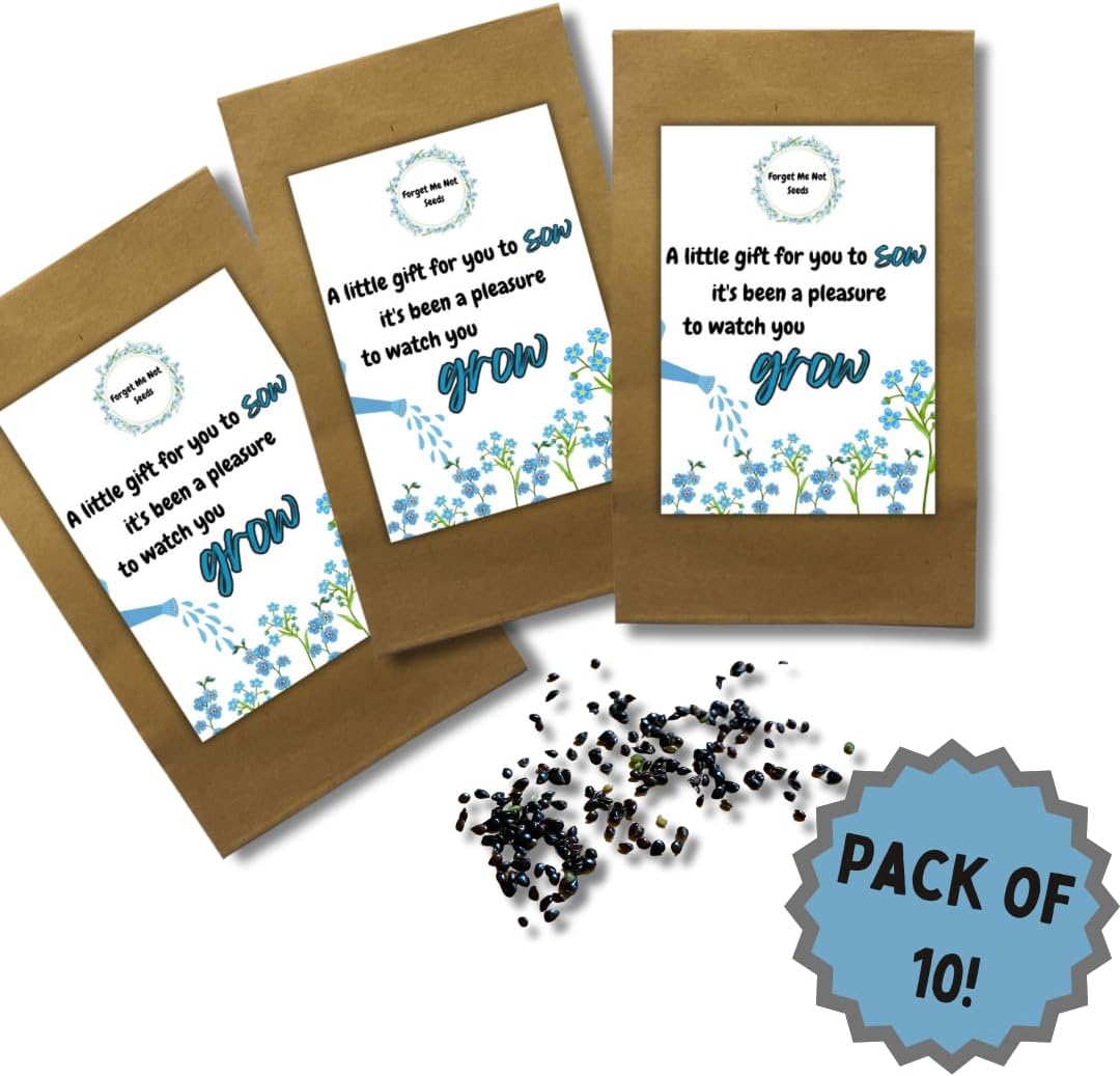 Bee and Butterfly Friendly Wild Flower Seeds Duo Pack - Great Gardener ...