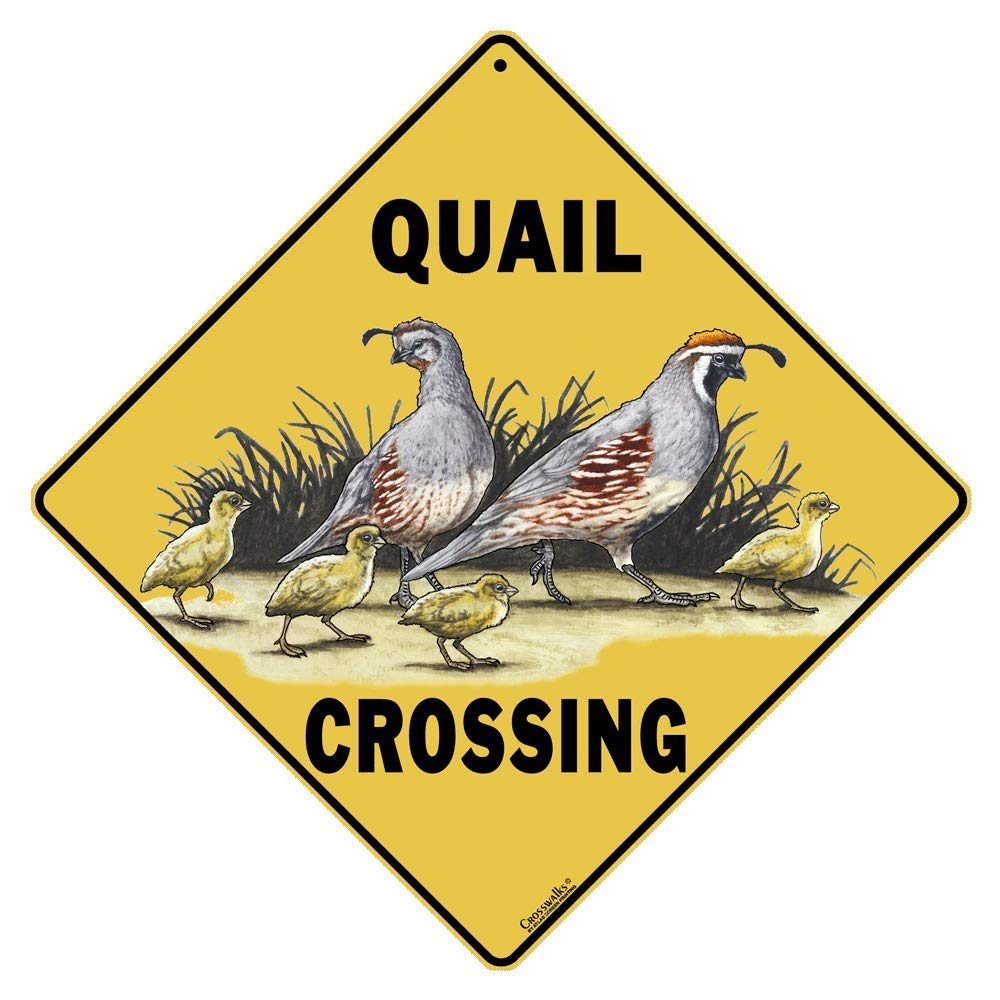 Amazon.com: CROSSWALKS Quail Crossing 12" X 12" Aluminum Sign (X143 ...