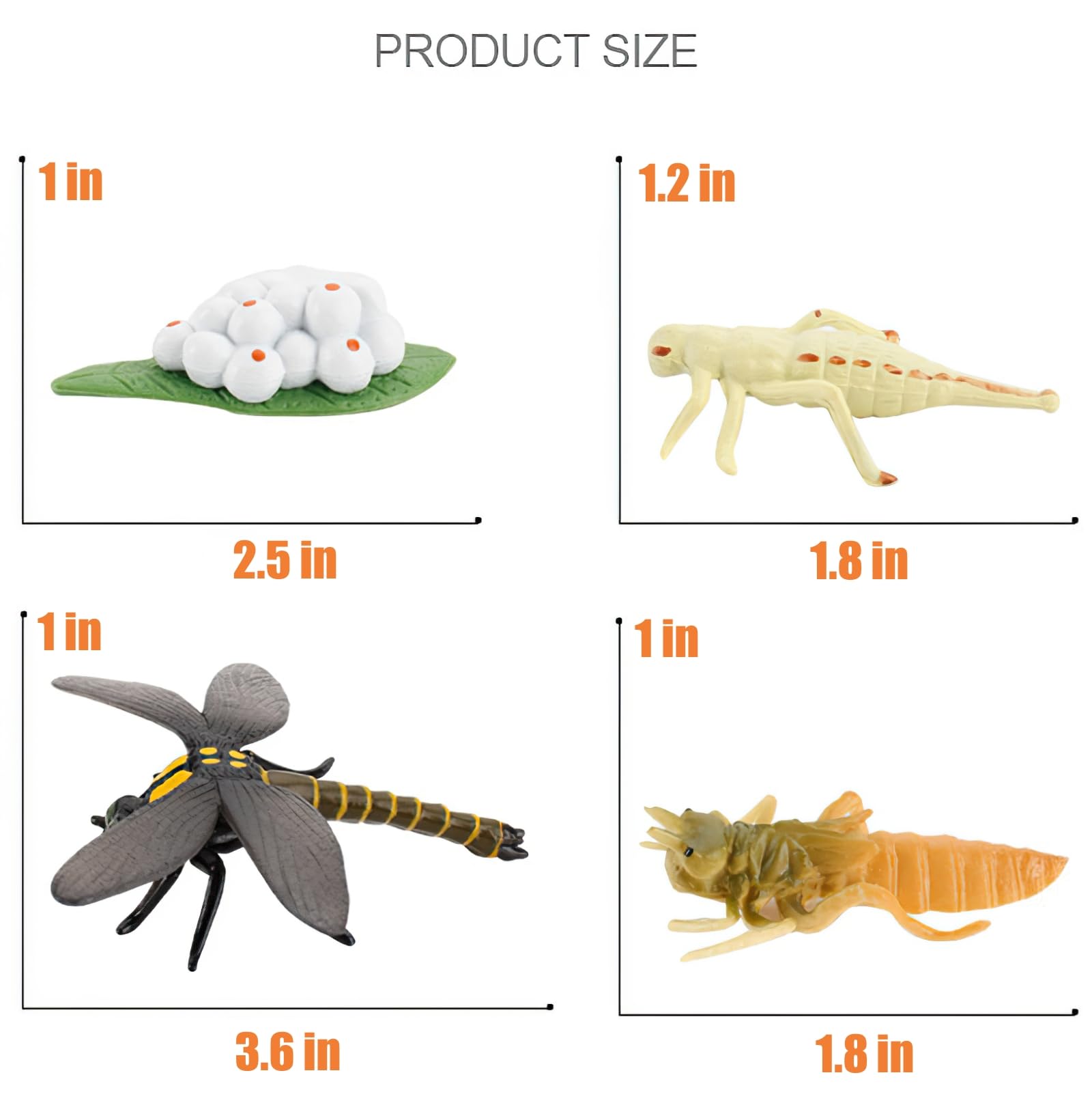 Snapklik.com : MIKNEKE Montessori Life Cycle Animal Insect Figurines ...