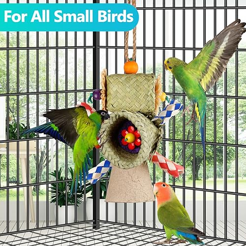 Snapklik.com : Bird Toys,Bird Foraging Bark Sola Stick Natures Bento ...