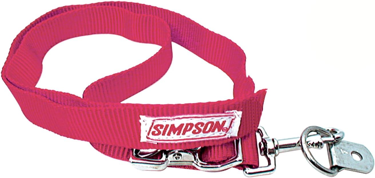 Amazon.com: Simpson Racing 36007RD Red SFI Approved Helmet Restraint ...
