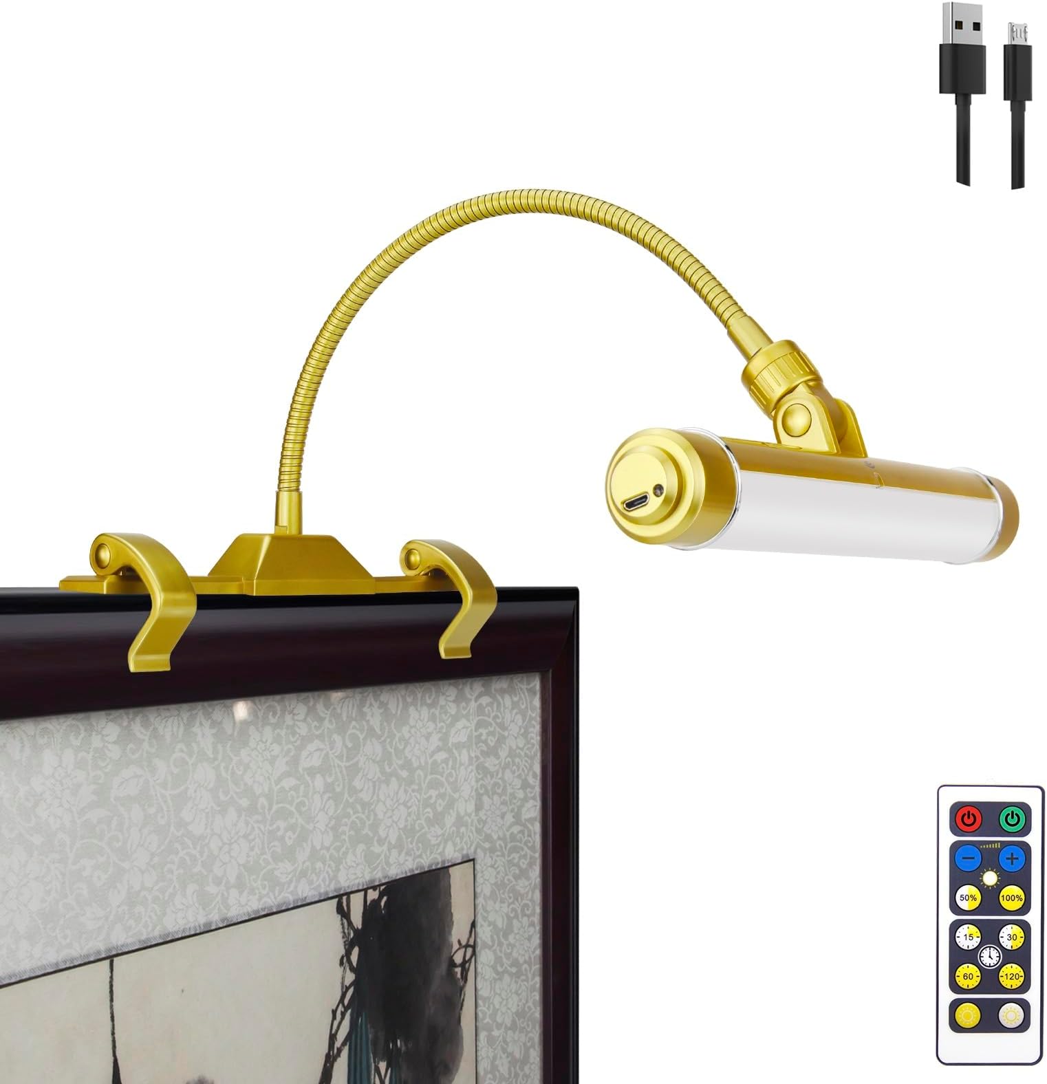 URTOM Plug in Picture Light Dimmable Art Lights for Paintings Remote ...