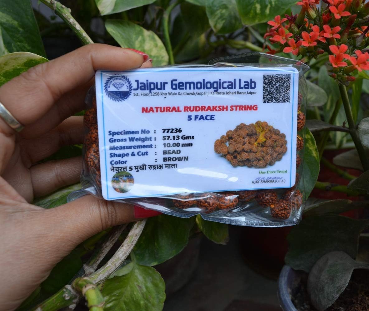 Certified Original Nepali Rudraksha Mala Wearing and Australia | Ubuy