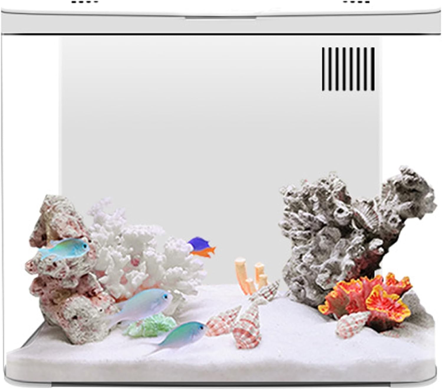 Amazon.com: NewGtuizi Fish Tank, 1.3 Gallon Glass Aquarium, 3 in 1 Fish ...