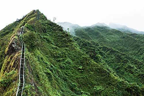 Amazon.com: Steps leading upward into the Ko'olau mountains on the ...
