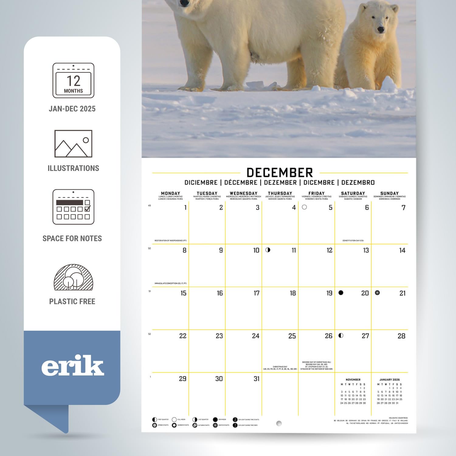 Grupo Erik Wall Calendar 2025 – Wildlife | 12″ x 12″ Square Calendar ...
