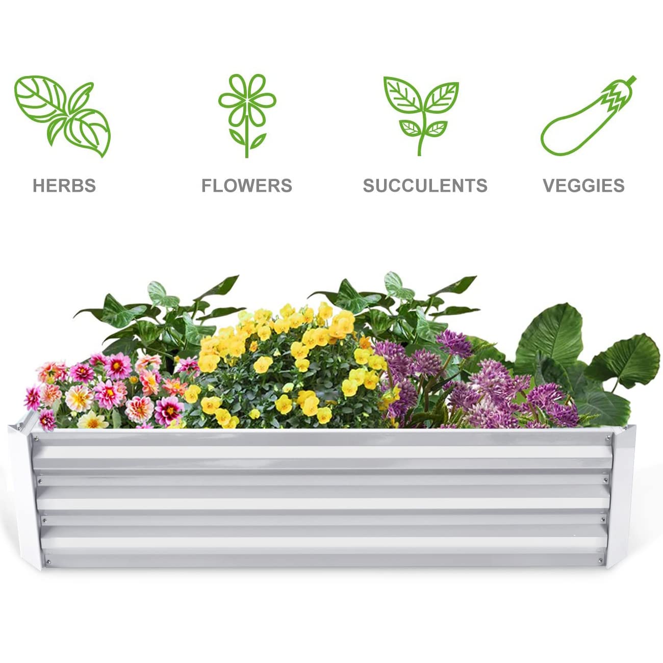 Snapklik.com : DCP Raised Garden Bed 3x4x1ft Metal Garden Bed Kit ...