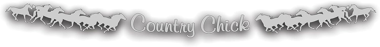 Amazon.com: Solar Graphics USA Windshield Sticker Decal - Country Chick ...