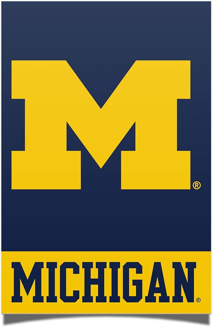 Amazon.com: Desert Cactus University of Michigan Poster UM Wolverines ...