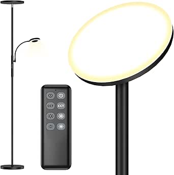 Kary Floor Lamp for Living Room, Height Adjustable Standing Lamp with ...