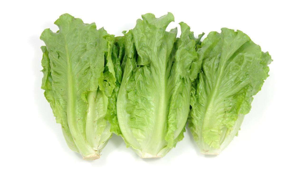 Vegetable Lobiya (Cow Pea) Seeds Pack of 50 Seeds_SS526 Plantsman's ...