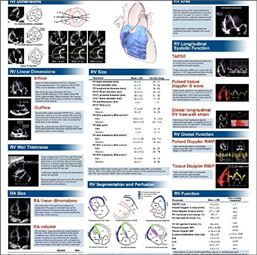 Guidelines for Chamber Quantification of the Right Heart Poster: Amazon ...