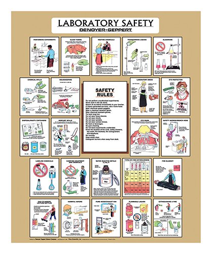 Chart, Laboratory Safety : Amazon.in: Industrial & Scientific