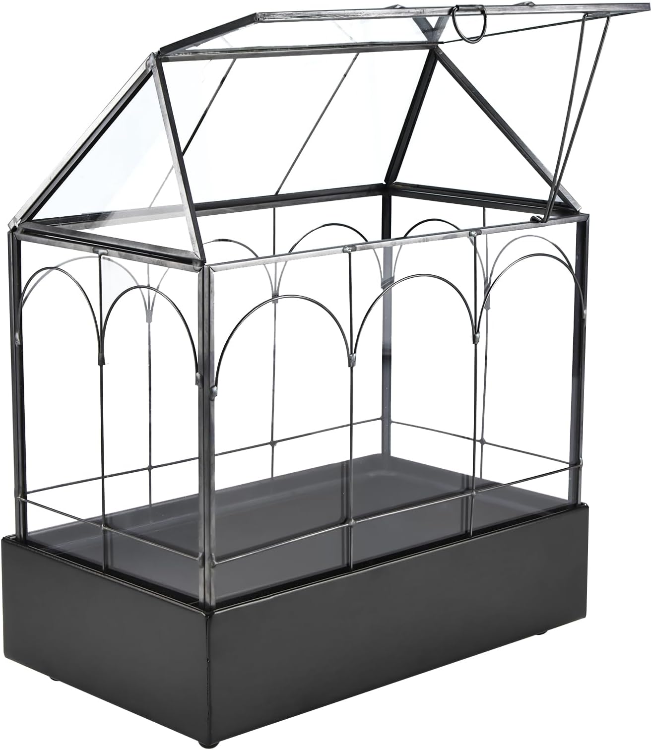 Amazon.com: Large Tall Plant Greenhouse Terrarium Glass with Lid, 8.7 ...