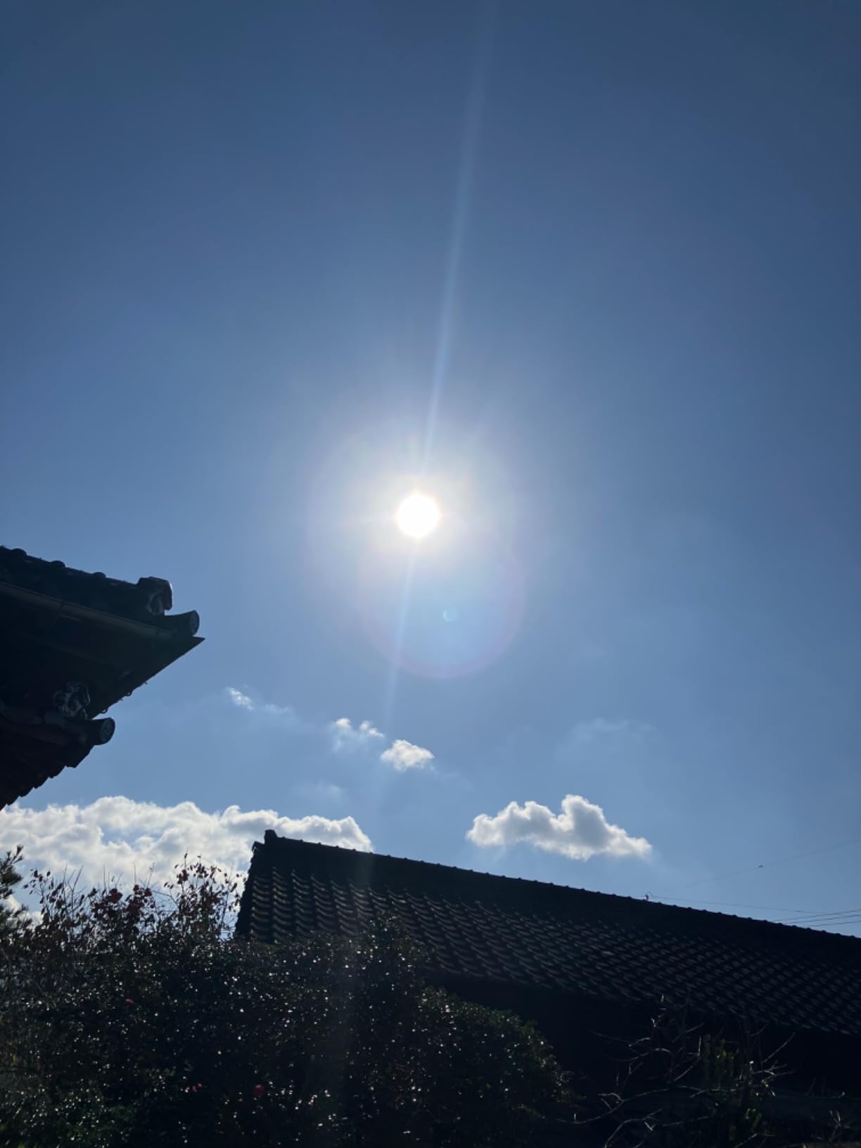 Amazon | CLEZEED 200W 単結晶ソーラーパネル 高効率単結晶太陽光パネル N200WTA CLESEED | 太陽光パネル