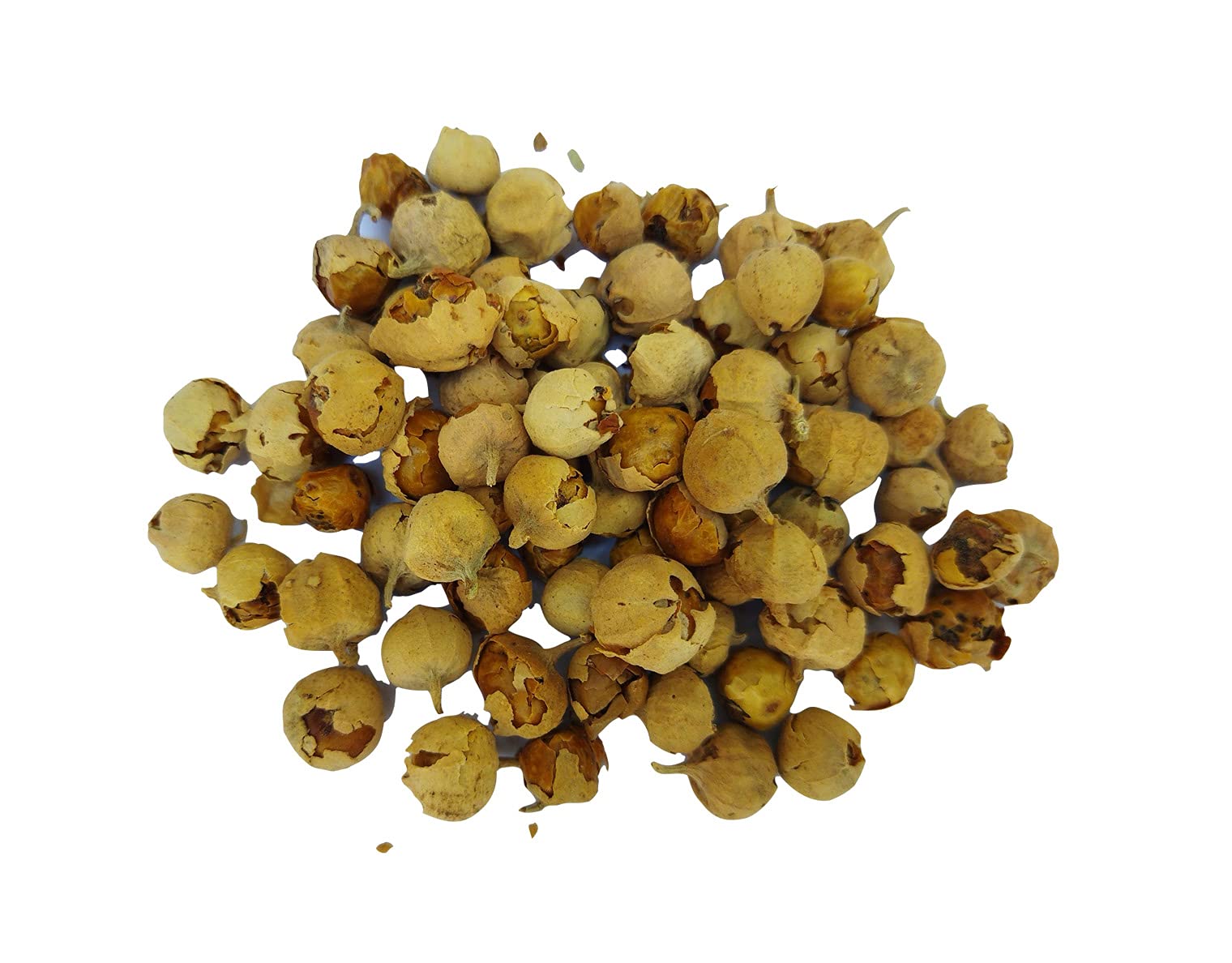 Buy Withania Coagulans Indian Rennet Paneer Ke Phool Paneer Doda Panir ...