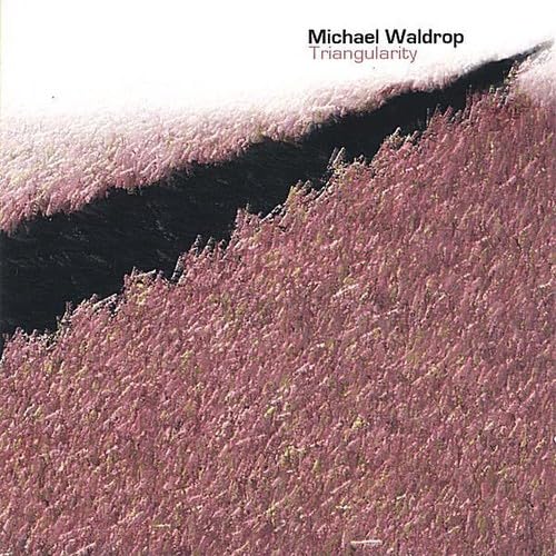 Amazon.com: Triangularity: 0602977053029: Michael Waldrop: Books