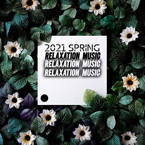 2021 Spring Relaxation Music - Nature Bursting into Life and Beautiful ...