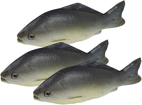 Amazon.com: Transcend11 3pcs Simulated Small Fish Artificial Sea Fish ...