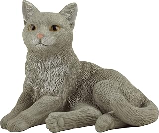 The Grey Muted Calico Cat: A Purr-Fectly Unique Feline | PetShun