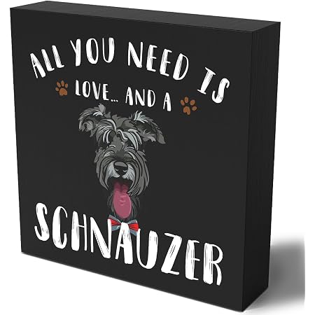 Amazon.com: Funny Bernedoodle Wooden Box Sign Plaque All You Need is ...