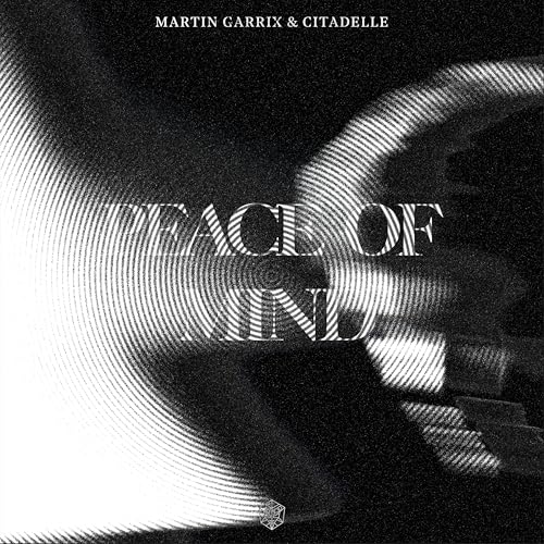 Peace Of Mind song by Martin Garrix & Citadelle from Peace Of Mind on ...