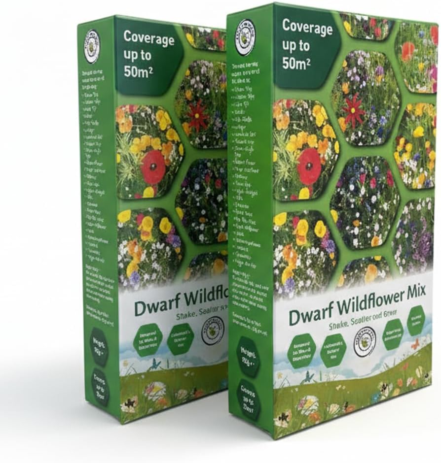 Pretty Wild Seeds Dwarf Wildflower Scatter Boxes | 2x50m2 Twin Pack ...