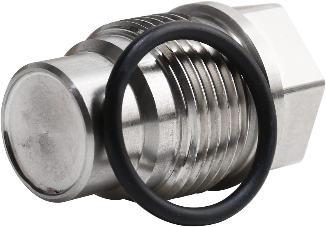 Amazon.com: Aochuang Fuel Rail Plug Valve Rail Fuel Plug Stainless ...