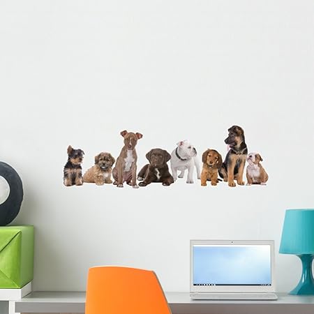 Amazon.com: Pet Wall Stickers Peel and Stick Puppy Dog Wall Decals Cute ...