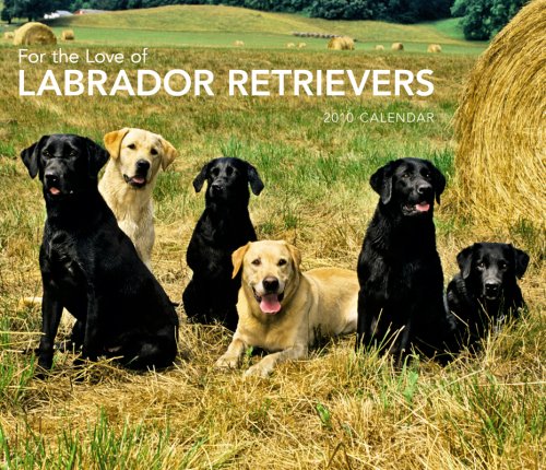 Labrador Retrievers, For the Love of 2010 Deluxe Wall: BrownTrout ...