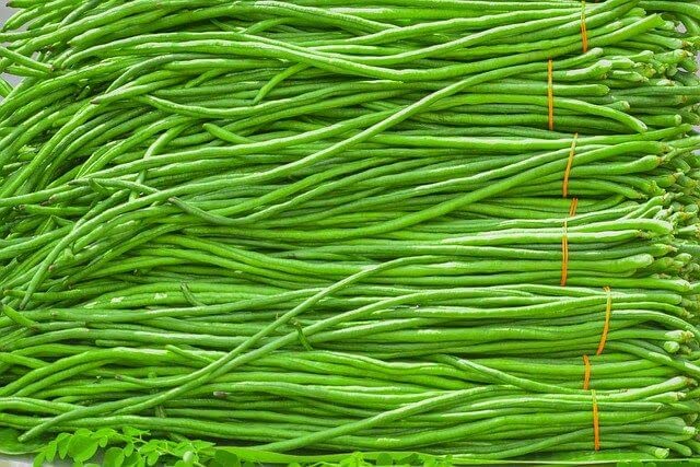 Vegetable Seeds - COWPEA - Hybrid Long Beans/Barbatti - Pack of 50 ...