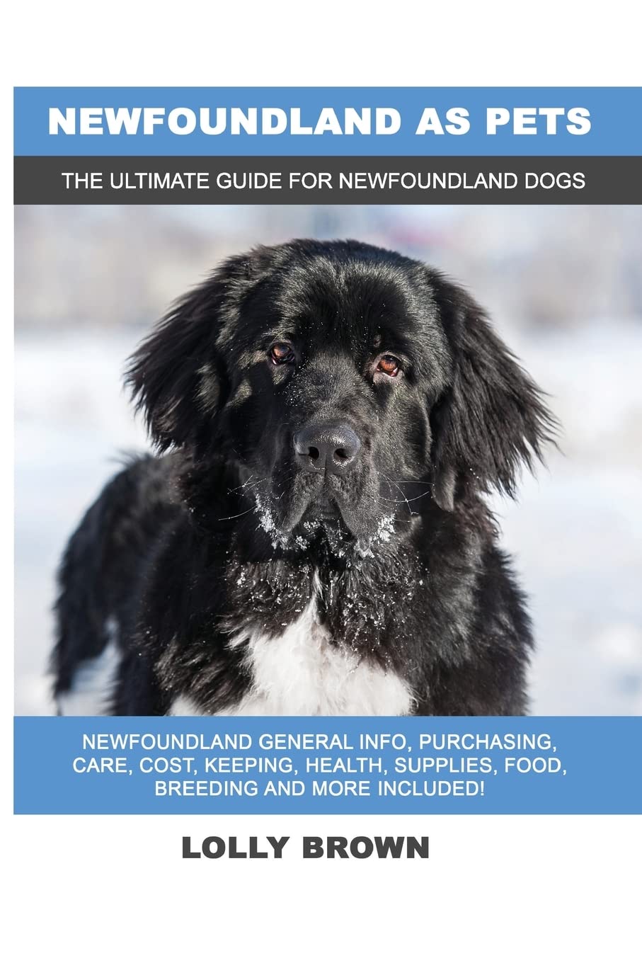 Newfoundland as Pets: Newfoundland General Info, Purchasing, Care, Cost ...