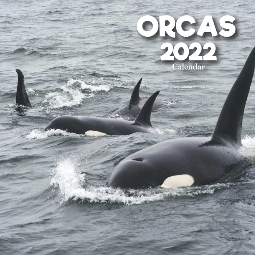 Orcas Calendar 2022 A Monthly And Weekly Calendar 2022 12 Months orcas-calendar-2022-a-monthly-and-weekly-calendar-2022-12-months