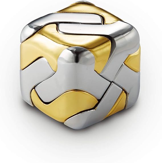 Amazon.com: 3D Brain Teasers Metal Puzzles Toy, Mind Puzzles for Adults ...