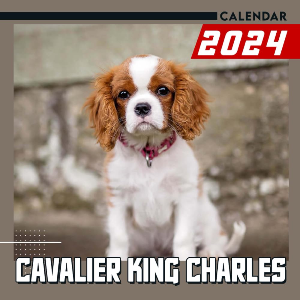 Cavalier King Charles Spaniel 2024-2025 Calendar: 12 Month Animals ...