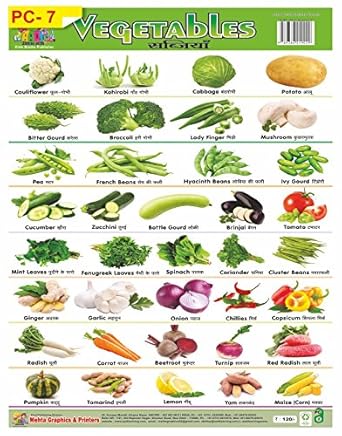 WALL CHART PLASTIC NON TEARABLE VEGETABLES - | 9789386249029 | Amazon ...