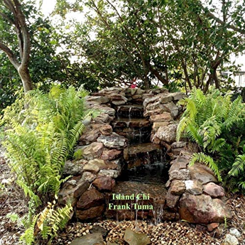 Play Island Chi by Frank Tuma on Amazon Music
