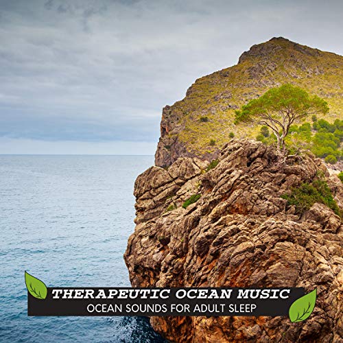 Amazon.com: Therapeutic Ocean Music - Ocean Sounds for Adult Sleep ...