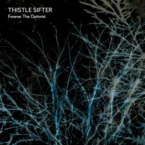 Anthropocene song by Thistle Sifter from Forever The Optimist on Amazon ...