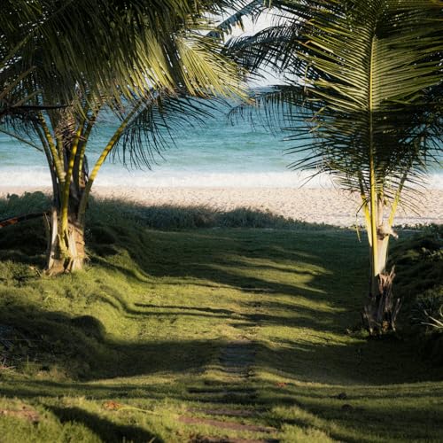 Play 0 Hour Zen: Healing Waters by Ocean Waves For Sleep, Ocean Sounds ...