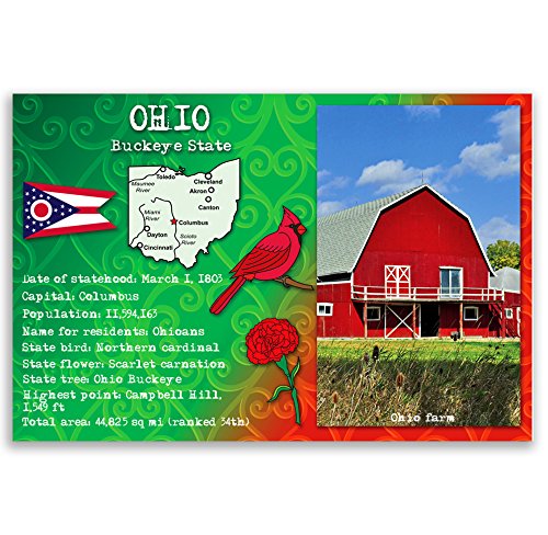 Postcard Fair Ohio State Facts Set of 20 Identical Postcards. Post ...