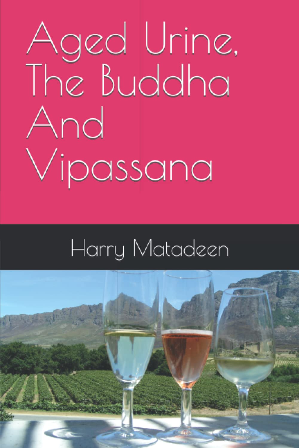 Aged Urine, The Buddha And Vipassana: Matadeen, Harry: 9798351759876 ...